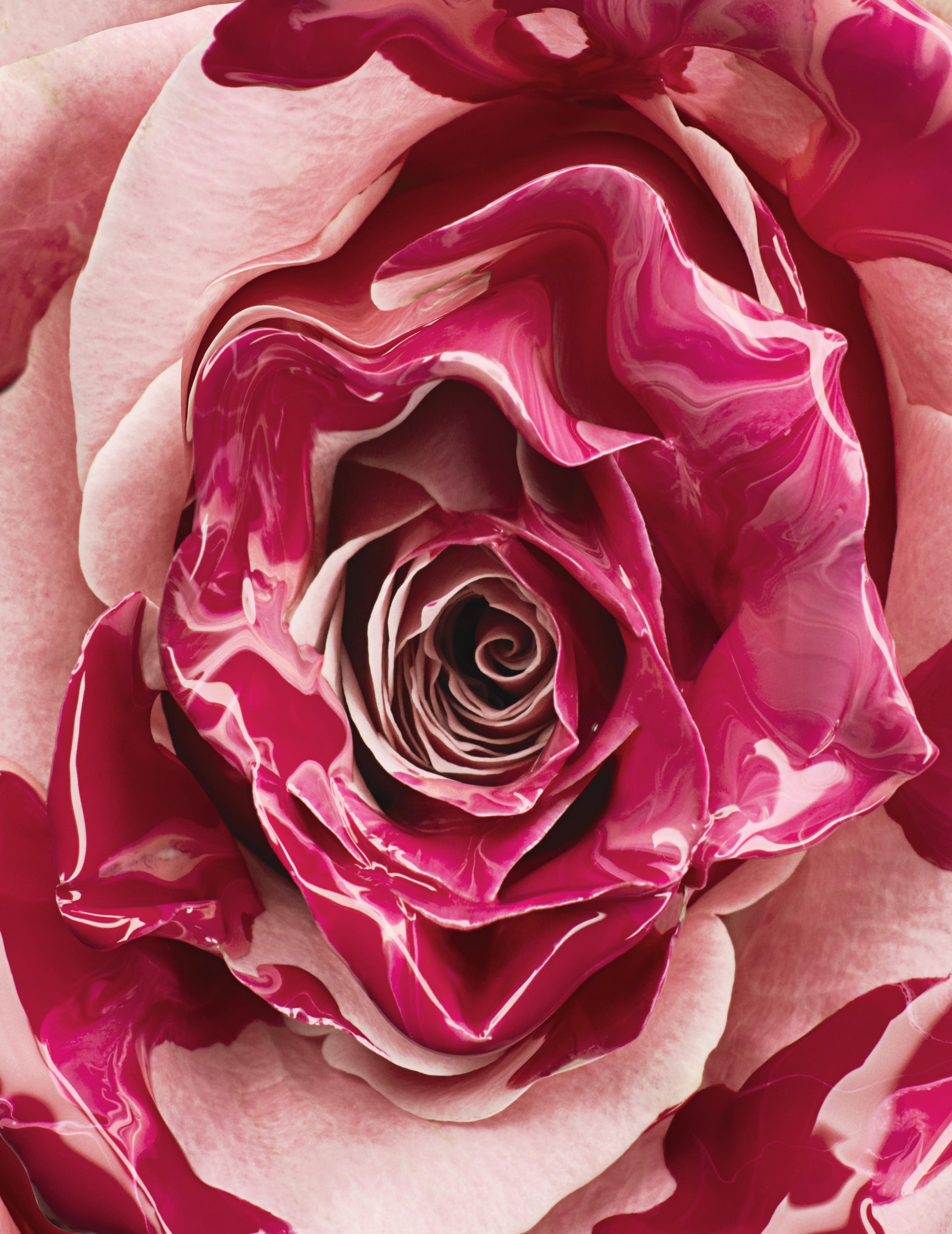 Ines Dieleman Amica Rose — Creative Exchange Agency