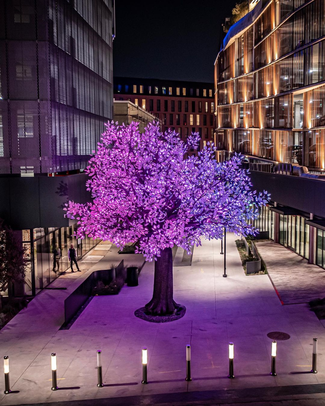 Studio Drift I Artist I Designer I Creative Exchange I Tree of Tenere ...