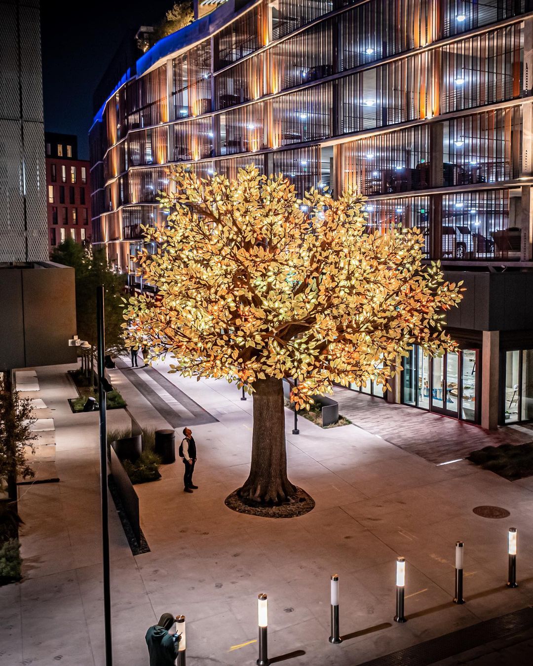 Studio Drift I Artist I Designer I Creative Exchange I Tree of Tenere ...