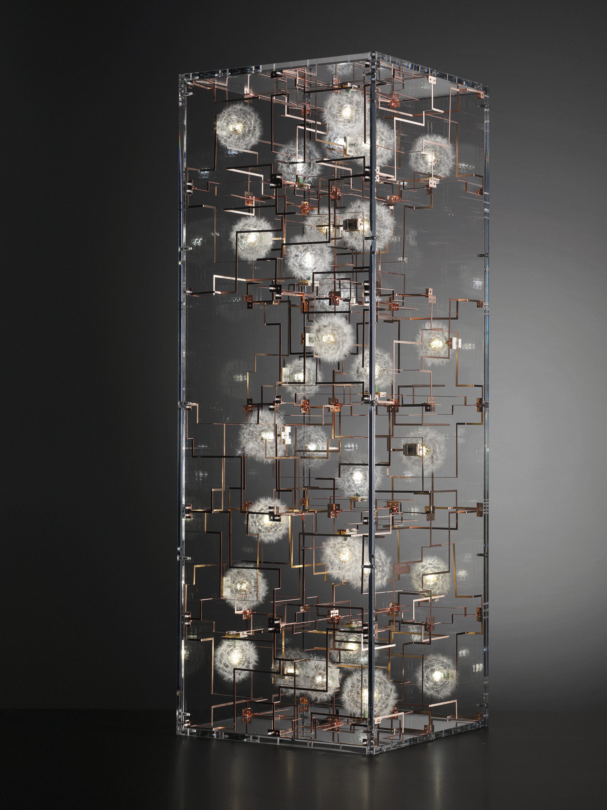 Studio Drift I Artist I Designer I Creative Exchange I Fragile Future ...