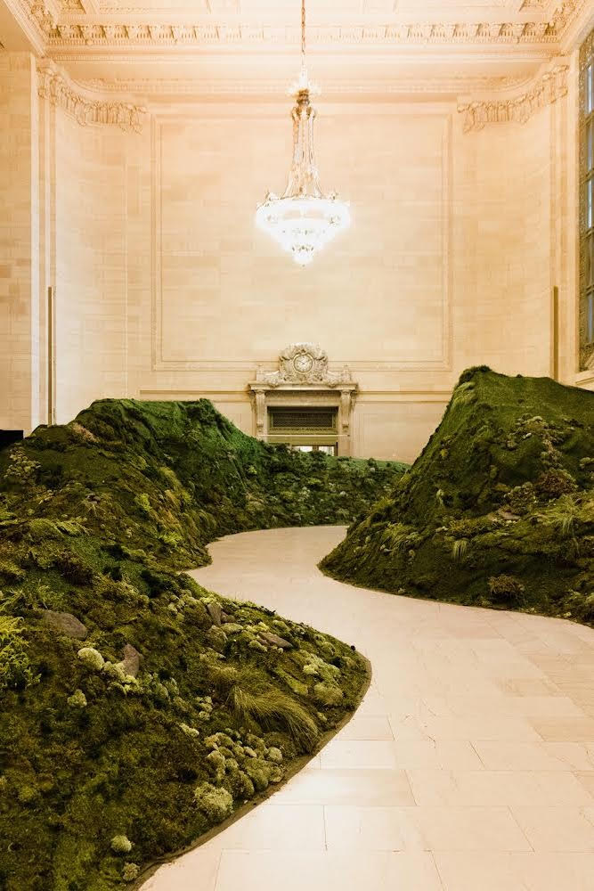 CONNECTING WITH NATURE - VIEWING ROOM — Creative Exchange Agency