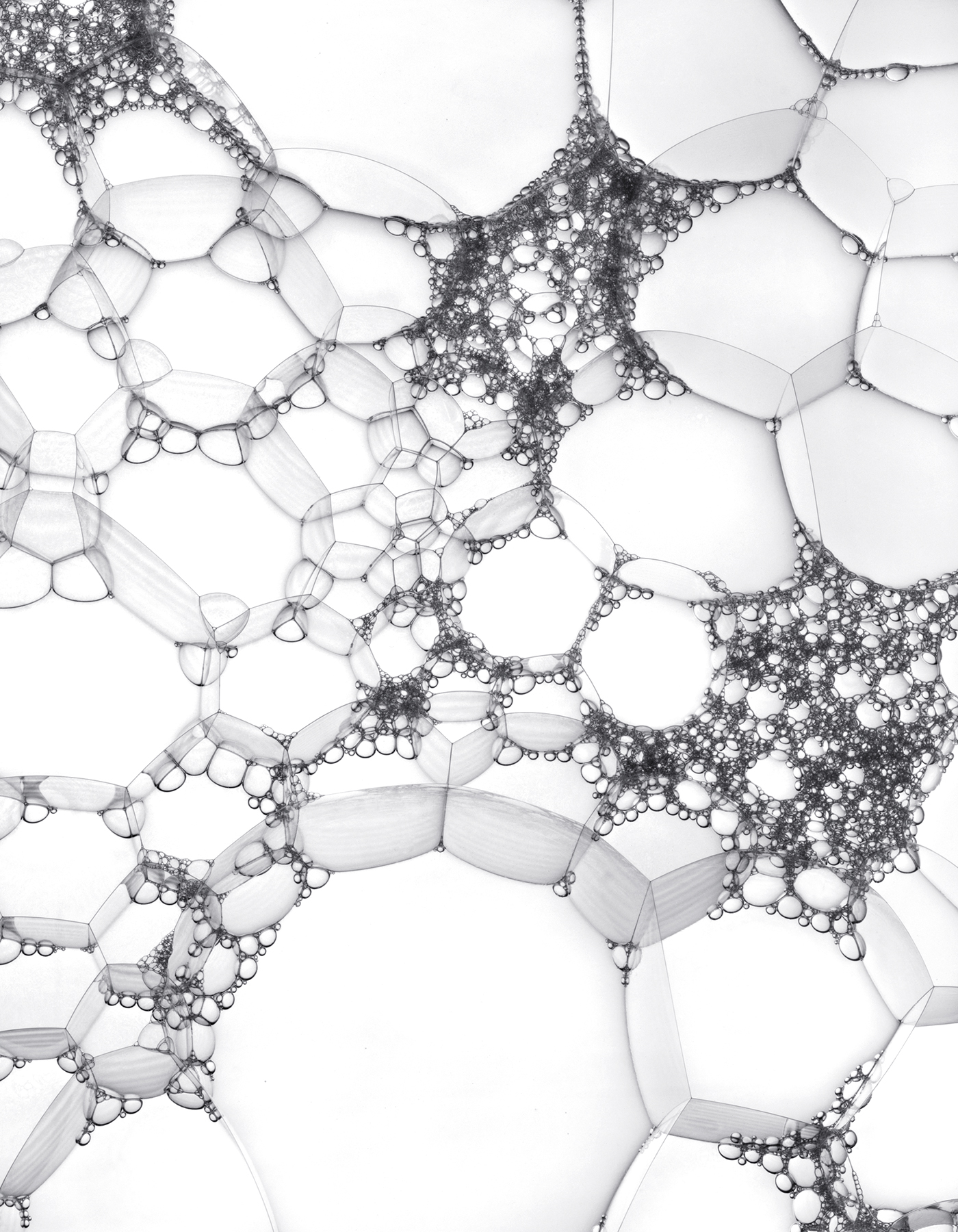 Robin Broadbent I Photographer I Director I Creative Exchange I ...